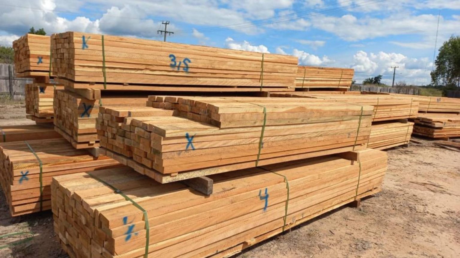 Madeiras para telhados em Três Lagoas: Como escolher